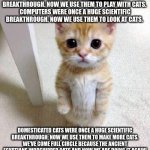 Cute Cat Meme Generator - Imgflip