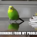 bird running from explosion Blank Template - Imgflip