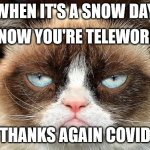 Grumpy Cat Not Amused Meme Generator - Imgflip