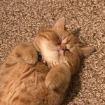 Vivi sweepy Meme Generator - Imgflip