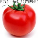 tomato Meme Generator - Imgflip