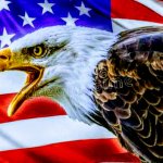 s1 Meme Generator - Imgflip