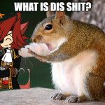 Whoa now Squirrel Meme Generator - Imgflip