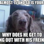 High Dog Meme Generator - Imgflip