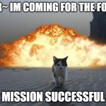 cat explosion Meme Generator - Imgflip