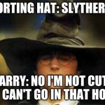Harry Potter sorting hat Meme Generator - Imgflip