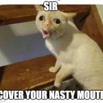 Coughing Cat Meme Generator - Imgflip