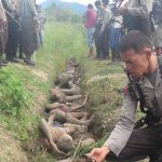 West Papua Meme Generator - Imgflip