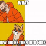 Furry Drake Blank Template - Imgflip
