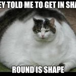 fat cat 2 Meme Generator - Imgflip