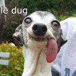 le dug Meme Generator - Imgflip