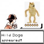 Blank Wild Pokemon Appears Meme Generator - Imgflip
