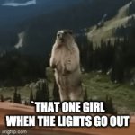 screaming gopher Blank Template - Imgflip