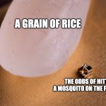 Grain Of Rice Meme Generator - Imgflip
