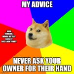 Advice Doge Meme Generator - Imgflip