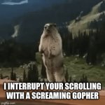 screaming gopher Blank Template - Imgflip