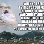 Screaming Cowboy Cat Blank Template - Imgflip