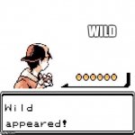 Blank Wild Pokemon Appears Meme Generator - Imgflip