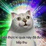 Tui. Meme Generator - Imgflip