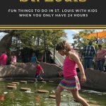 Fun things to do in St. Louis Meme Generator - Imgflip