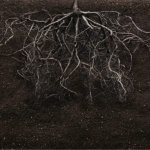 roots Meme Generator - Imgflip