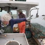 tossing lobsters Meme Generator - Imgflip