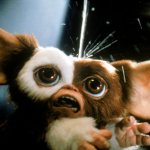 Gizmo Meme Generator - Imgflip