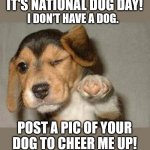 Winking Dog Meme Generator - Imgflip
