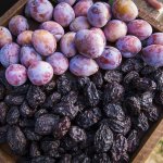 plums and prunes Meme Generator - Imgflip