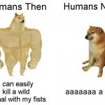 Meme Generator - Imgflip