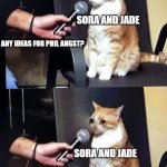 Cat interview crying Meme Generator - Imgflip