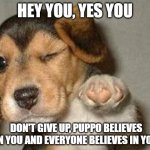 Winking Dog Blank Template - Imgflip