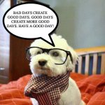 Intelligent Dog Blank Meme Template - Imgflip