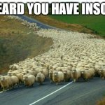 sheep Meme Generator - Imgflip