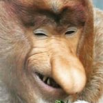 Nosacz Meme Generator - Imgflip