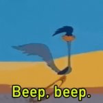 Funny Road Runner Memes