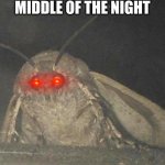 Moth Meme Generator - Imgflip