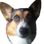 Tango Meme Generator - Imgflip