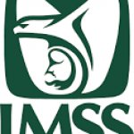 Imss Meme Generator - Imgflip