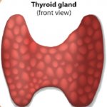 Thyroid Meme Generator - Imgflip
