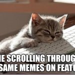 Bored Keyboard Cat Meme Generator - Imgflip