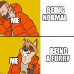 Furry Drake Blank Template - Imgflip