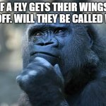 Deep Thoughts Meme Generator - Imgflip