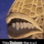 this displeases the nut Meme Generator - Imgflip