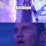 Randy Orton, Undertaker Meme Generator - Imgflip