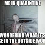 Skeleton Looking Out Window Meme Generator - Imgflip