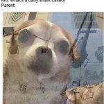 PTSD Chihuahua Meme Generator - Imgflip