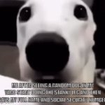 Shivering Dog Blank Template - Imgflip