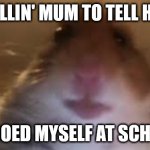 facetime hamster Meme Generator - Imgflip