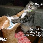 Two cats fighting for real Meme Generator - Imgflip